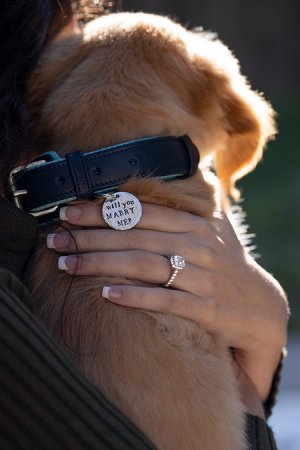 5 Adorable Ways to Involve Your Pet in Your Proposal