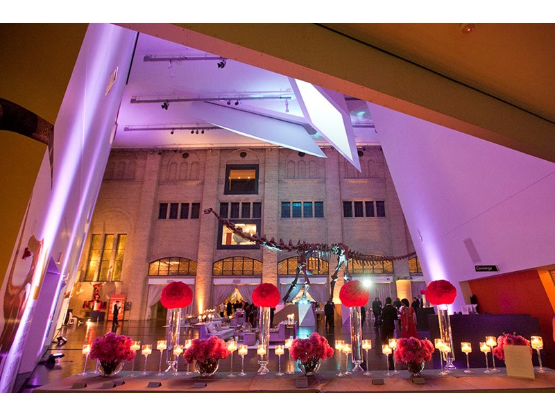 The Royal Ontario Museum, Toronto, Galleries/Museums